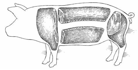 What Are Primal Cuts of Meat? A Butcher's Guide. - Cattleman's Meats