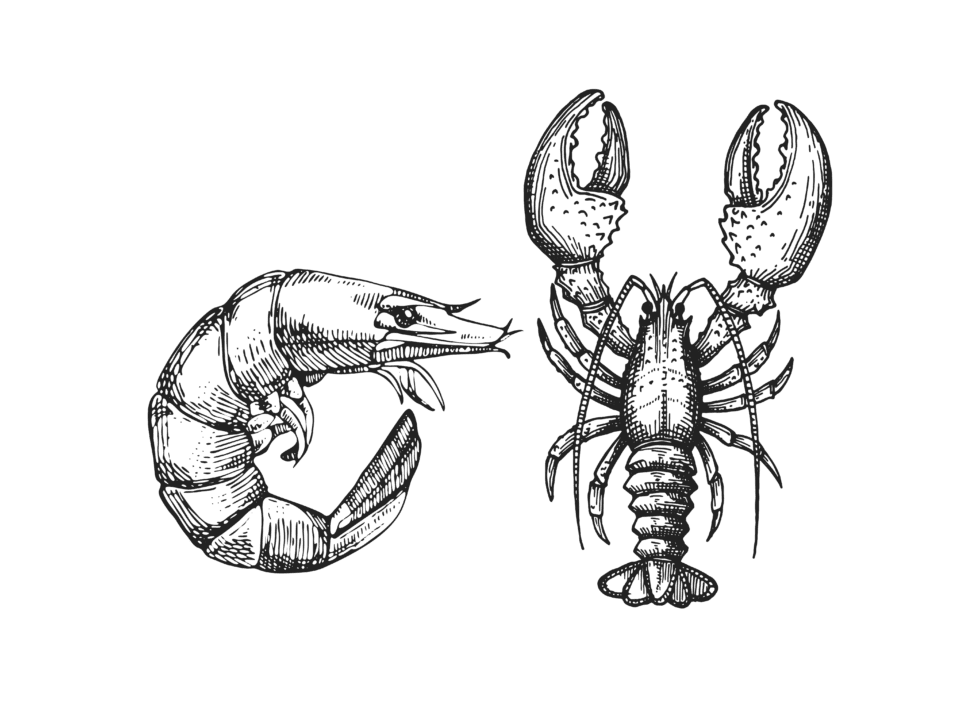 Shop - Cattleman’s Party Tray Specials| Center Line, MI